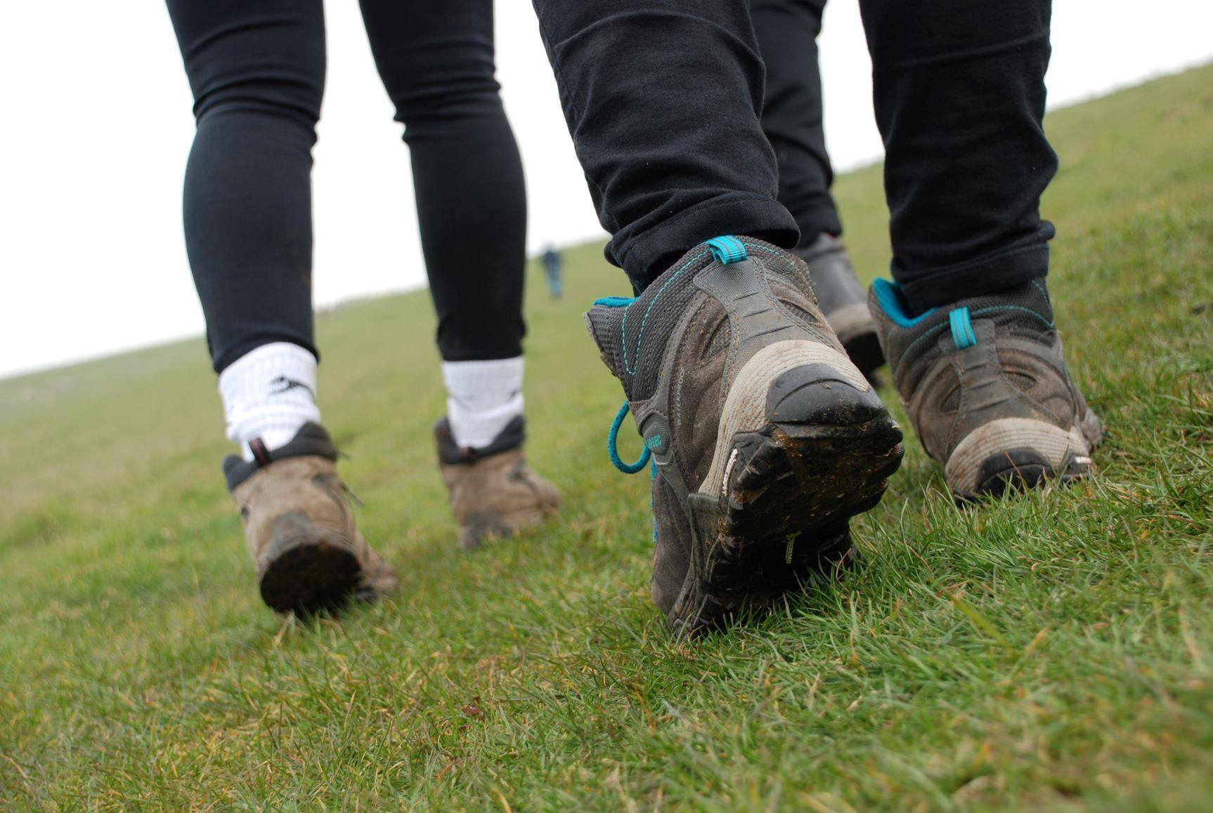 Country Pursuits | Manor farm